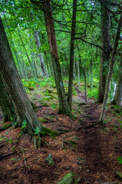 Cave Point Park – Door County Wisconsin – Greg Disch Photography