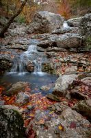 2018 Favorite Photos – Greg Disch Photography